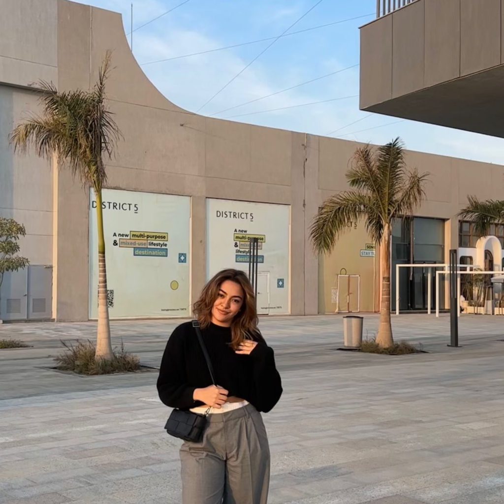 Stegasus: Image steganalysis app – MIU Computer Science Graduation Projects